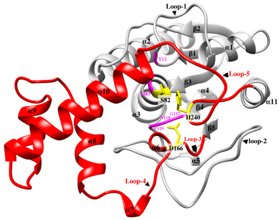Comparative Structural Analysis of Different Mycobacteriophage-Derived ...