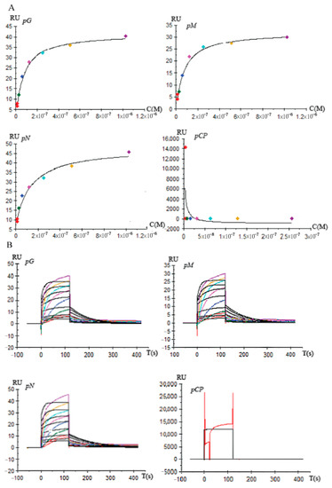 Interaction of a Novel Zn2Cys6 Transcription Factor DcGliZ with ...