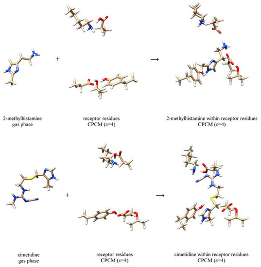 Biomolecules | Free Full-Text | Relevance of Hydrogen Bonds for the ...