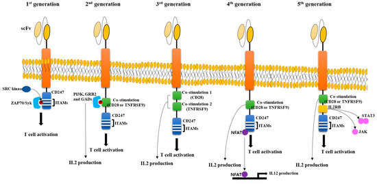 Recent Advances in Allogeneic CAR-T Cells