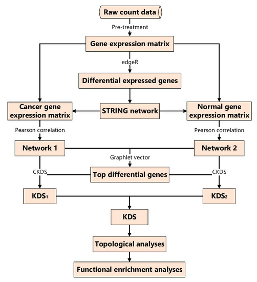 Biomolecules | Special Issue : Big Data Analysis in Biomolecular Research, Bioinformatics, and ...
