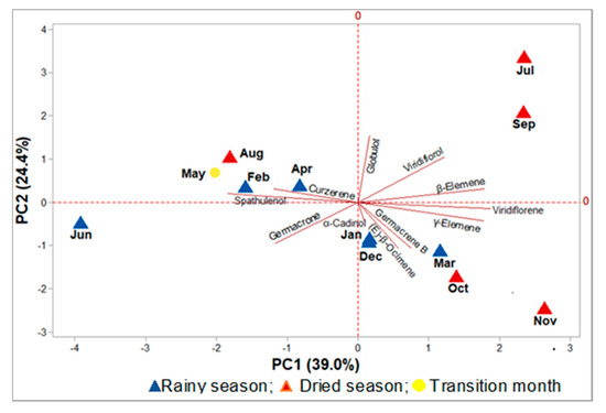 Seasonal and Antioxidant Evaluation of Essential Oil from Eugenia ...