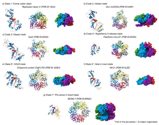 Bacterial Enhancer Binding Proteins—AAA+ Proteins in Transcription ...