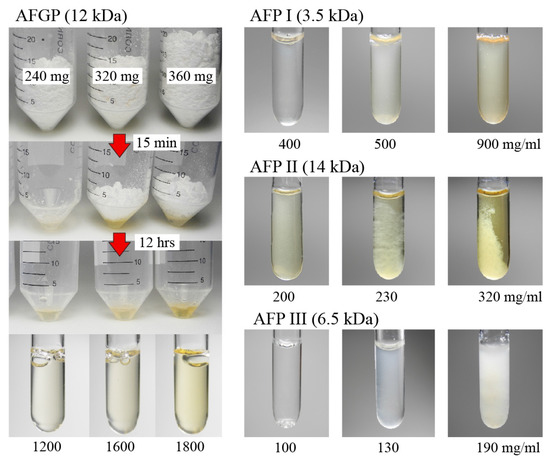 Fish-Derived Antifreeze Proteins and Antifreeze Glycoprotein Exhibit a ...