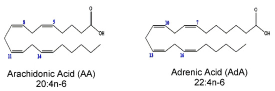 The Contribution of Cytosolic Group IVA and Calcium-Independent Group ...