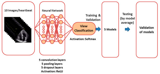 Clinically Feasible and Accurate View Classification of ...