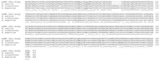 Levansucrase from Bacillus amyloliquefaciens KK9 and Its Y237S Variant ...