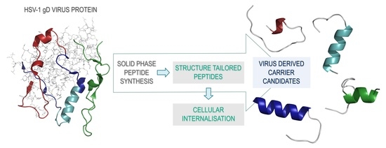 Biomolecules | Free Full-Text | Tailoring Uptake Efficacy of HSV-1 gD ...
