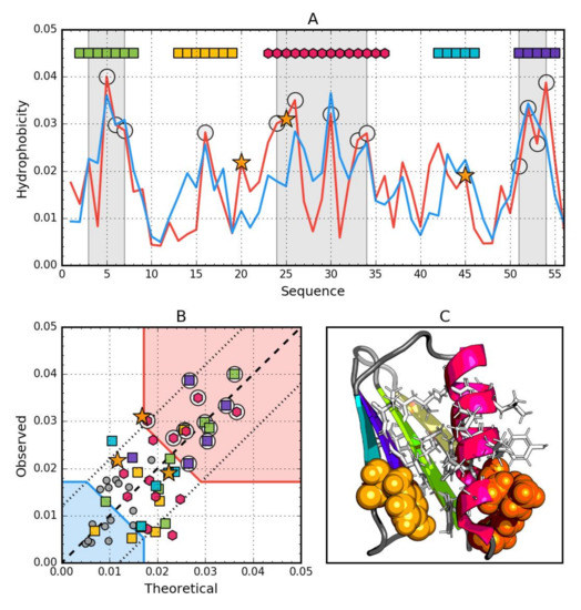 Structure of the Hydrophobic Core Determines the 3D Protein Structure ...
