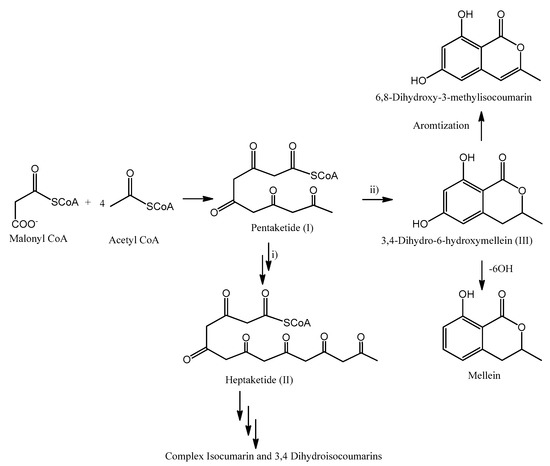 Melleins—Intriguing Natural Compounds