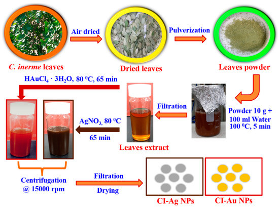 Nanomaterials Free Full Text Green Synthesis Of Gold And Silver Hot