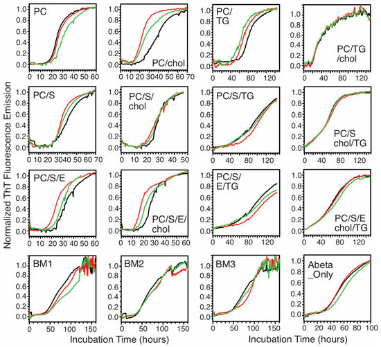 Fibrillization of 40-residue β-Amyloid Peptides in Membrane-Like ...