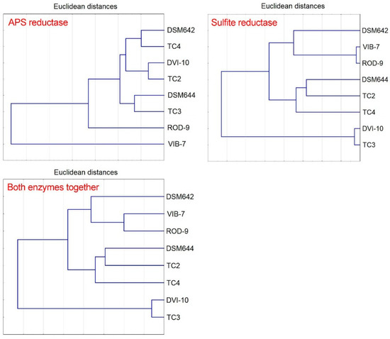 Adenosine-5′-Phosphosulfate- and Sulfite Reductases Activities of ...