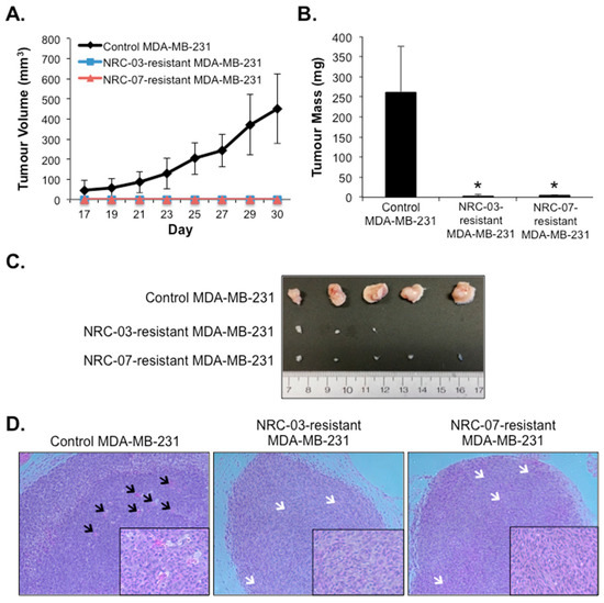 MDA-MB-231 Breast Cancer Cells Resistant to Pleurocidin-Family Lytic ...