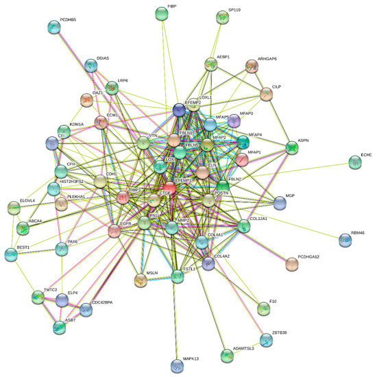 The Pathophysiological Significance of Fibulin-3