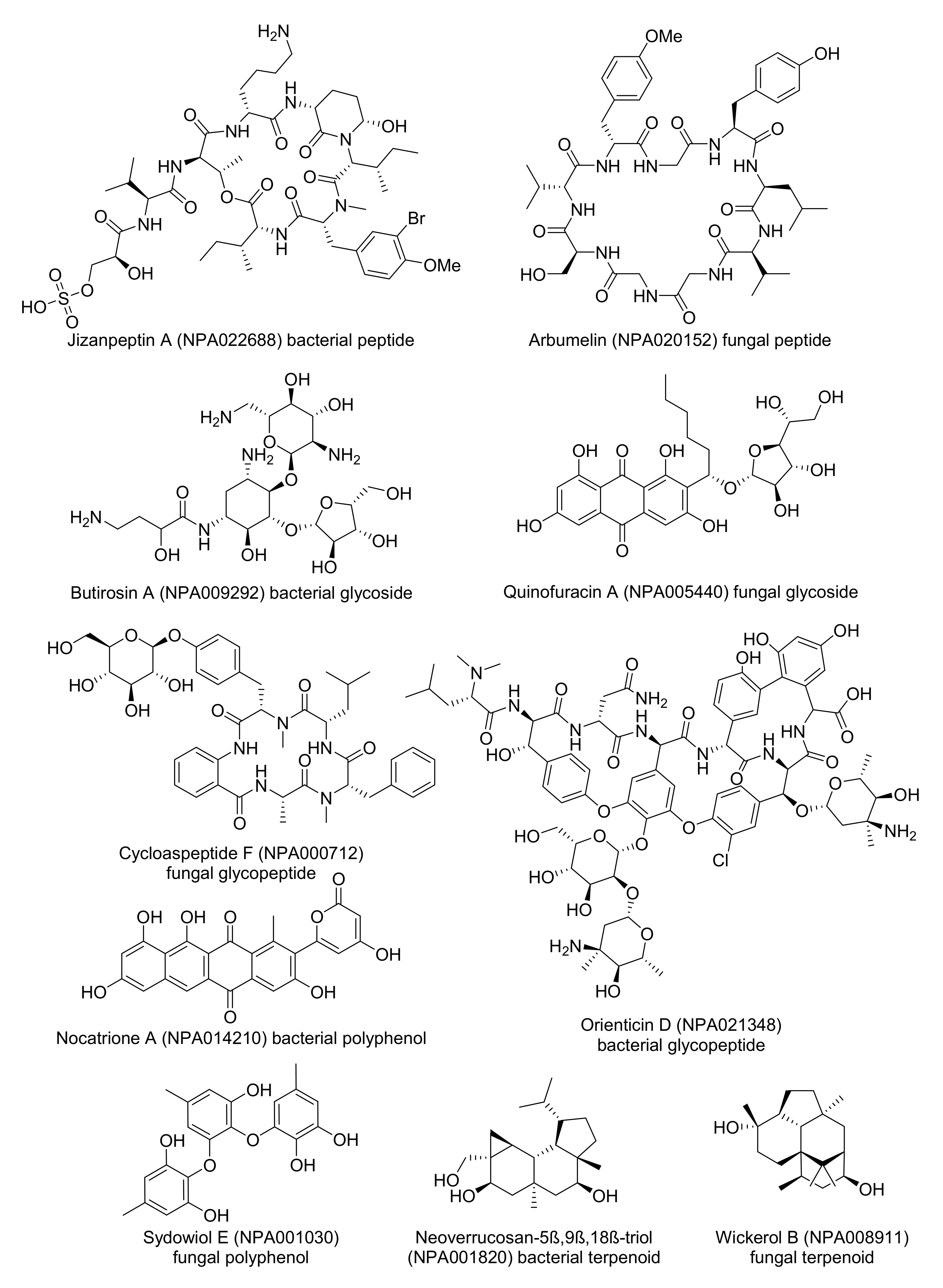 Assigning the Origin of Microbial Natural Products by Chemical Space ...