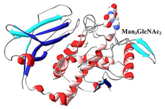 De Novo Structural Determination of the Oligosaccharide Structure of ...