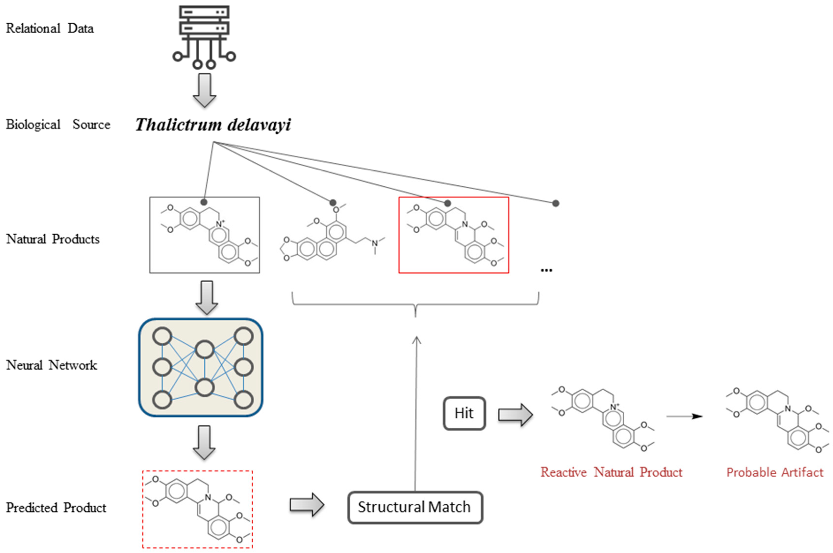 Virtual Screening for Reactive Natural Products and Their Probable ...
