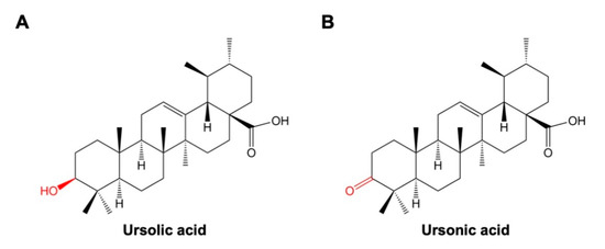 Therapeutic Potential of Ursonic Acid: Comparison with Ursolic Acid