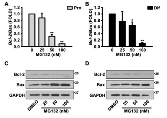 Proteasome Inhibitor MG132 is Toxic and Inhibits the Proliferation of Rat Neural Stem Cells but ...