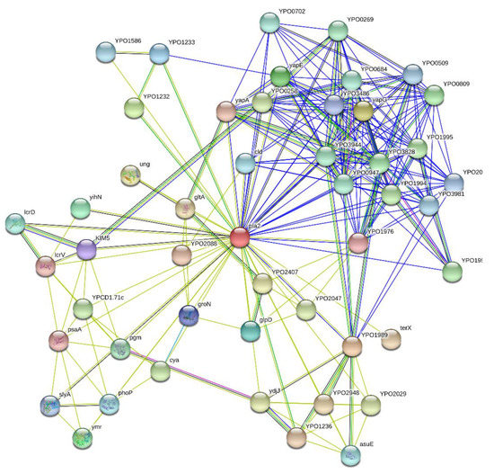Biomolecules | Free Full-Text | Yersinia pestis Plasminogen Activator