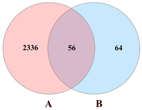 Biomolecules | Free Full-Text | Evaluation of Naringenin as a Promising ...