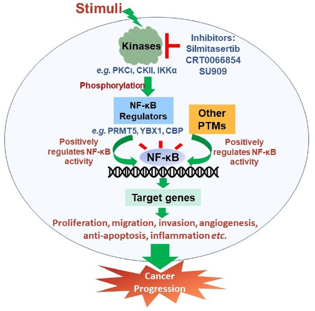 Biomolecules Free Full Text Phosphorylation Of The Regulators A