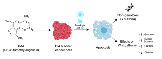 Biomolecules | Topical Collection : Drug-Phototherapy