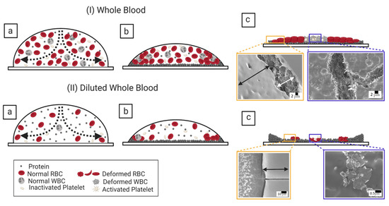 Temperature and Concentration Dependence of Human Whole Blood and ...