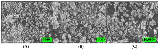 Green Synthesis of Silver Nanoparticles by Cytobacillus firmus Isolated from the Stem Bark of ...
