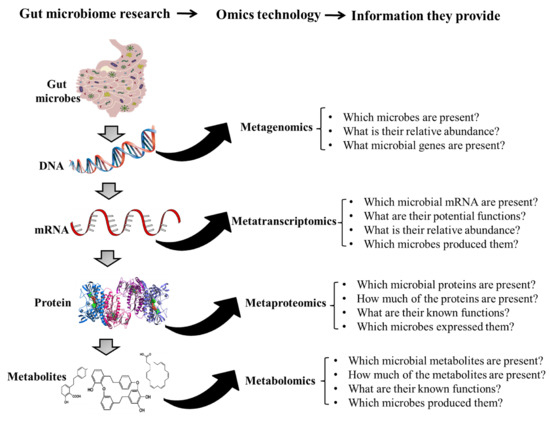 Challenges and Perspective in Integrated Multi-Omics in Gut Microbiota ...