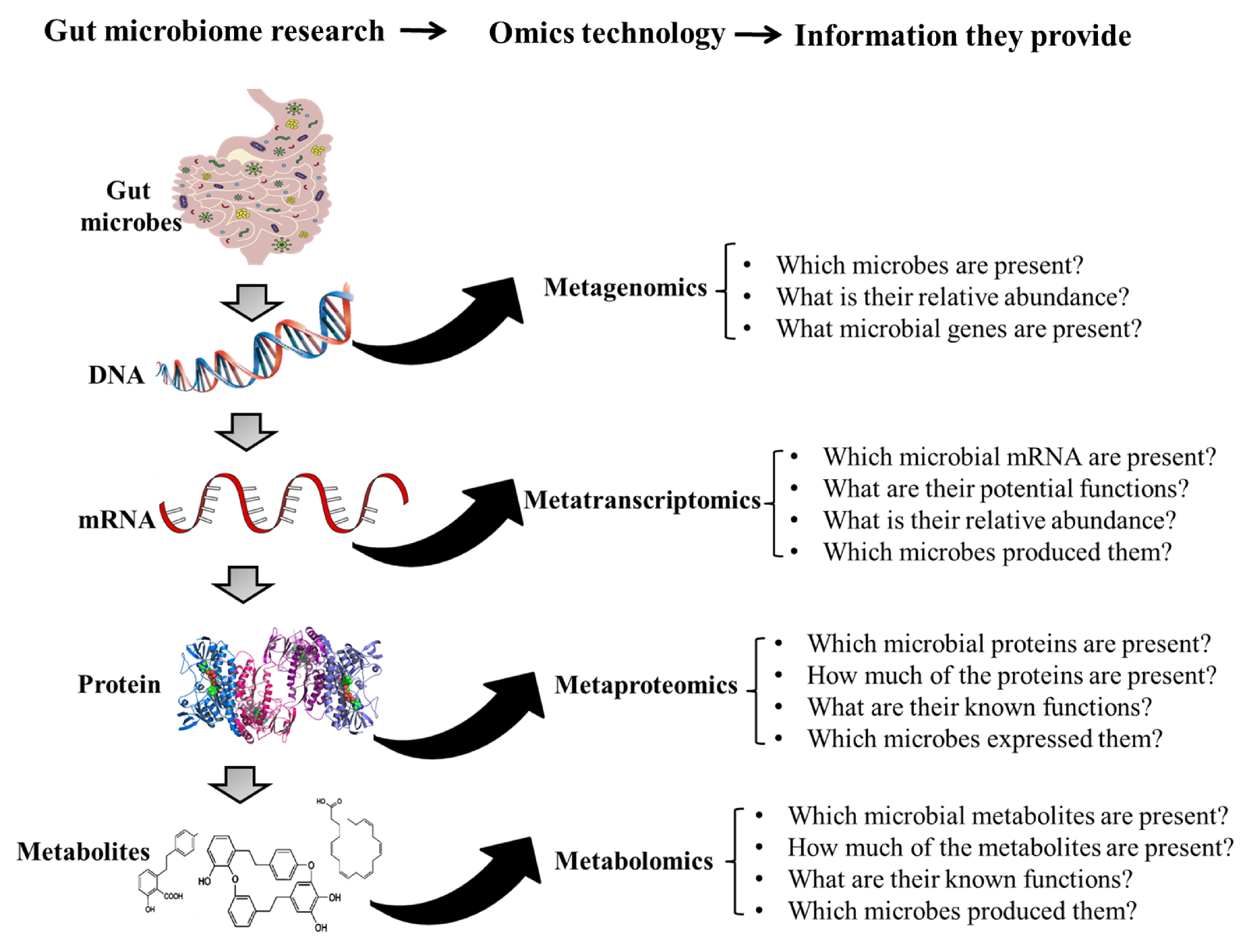 Challenges and Perspective in Integrated Multi-Omics in Gut Microbiota Studies