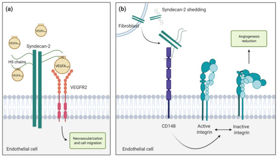 Syndecans and Pancreatic Ductal Adenocarcinoma