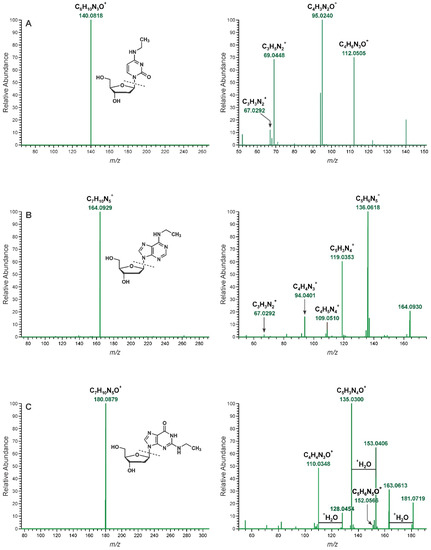 Identification of New Markers of Alcohol-Derived DNA Damage in Humans