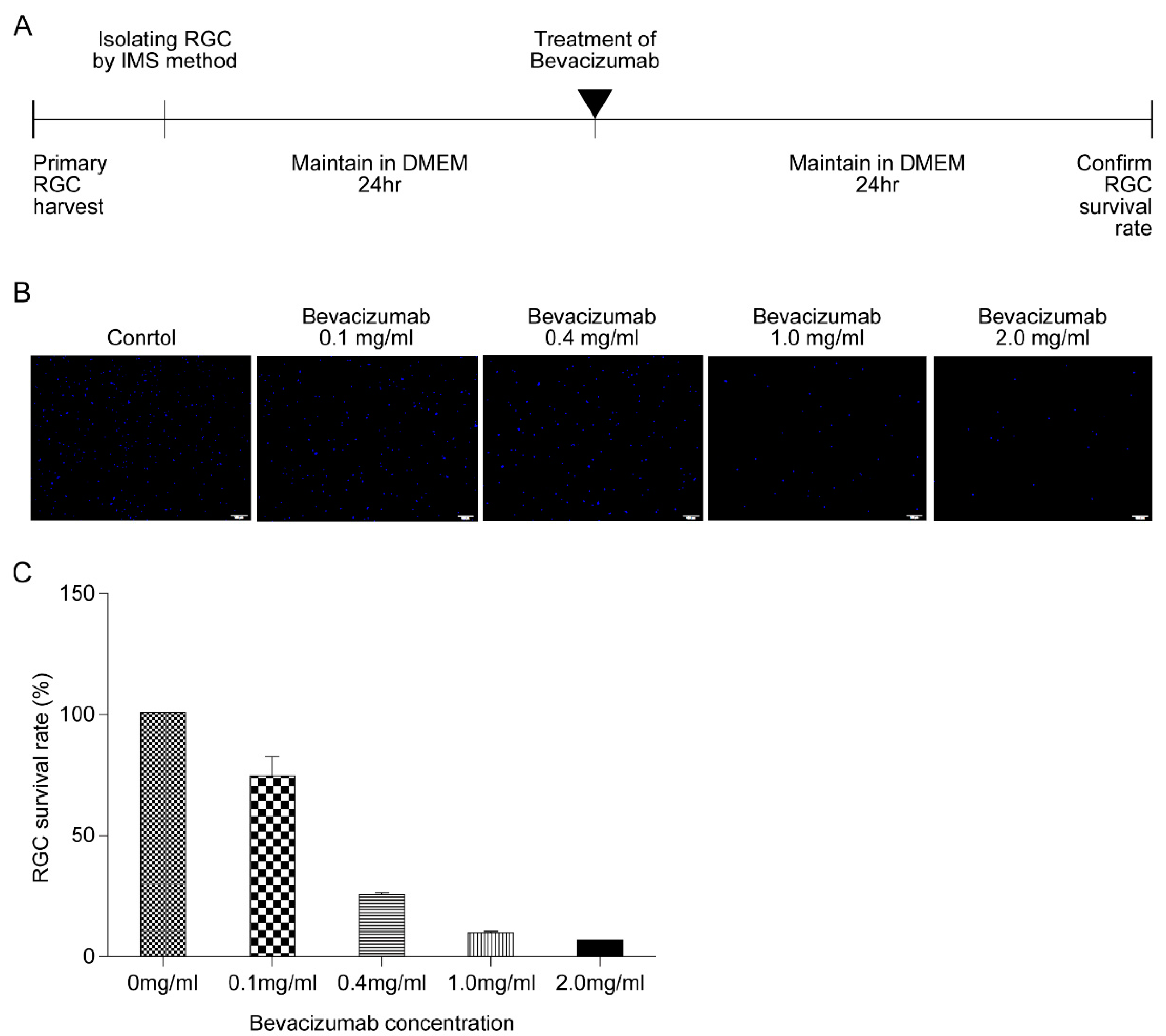 Biomolecules Free Full Text Effects Of Hypoxic Preconditioning And