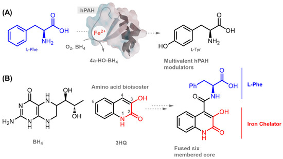 Modulation of Human Phenylalanine Hydroxylase by 3-Hydroxyquinolin-2(1H ...