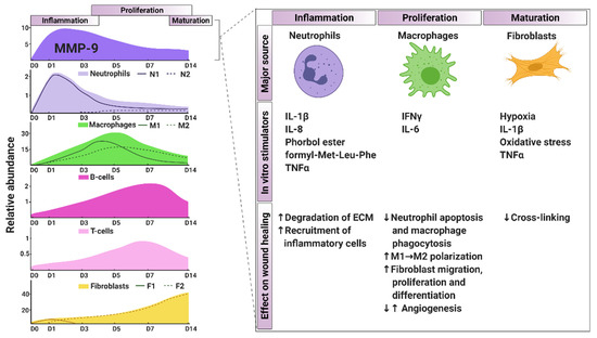 Infarct in the Heart: What’s MMP-9 Got to Do with It?