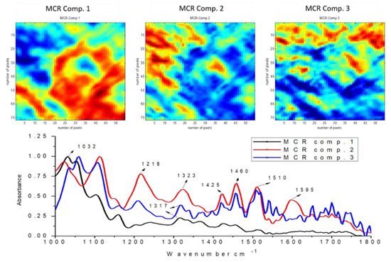 Effects on Lignin Redistribution in Eucalyptus globulus Fibres Pre ...