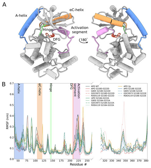 Allosteric Kinase Inhibitors Reshape MEK1 Kinase Activity Conformations ...