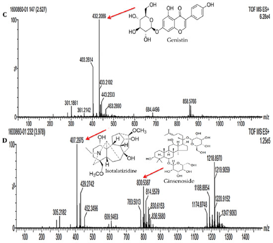 Ameliorated Antibacterial and Antioxidant Properties by Trichoderma harzianum Mediated Green ...