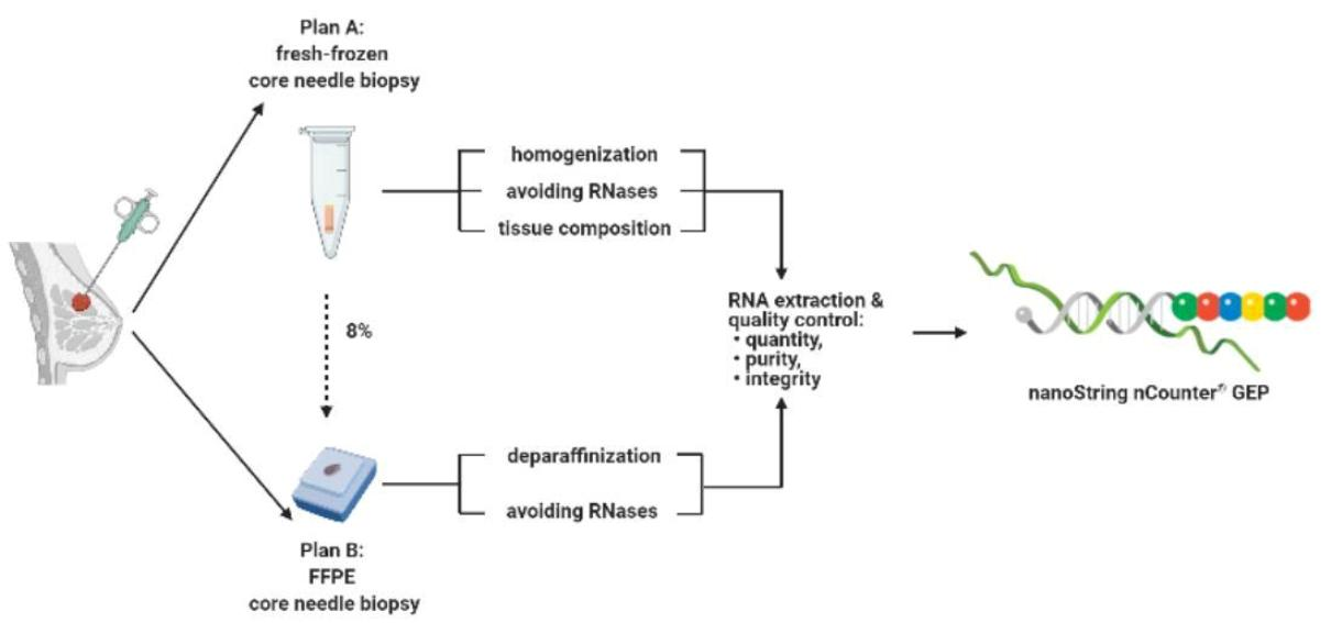 Biomolecules | Free Full-Text | Overcoming the Challenges of High ...
