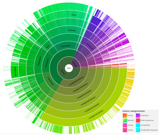 Current Understanding of the Structure and Function of Pentapeptide ...