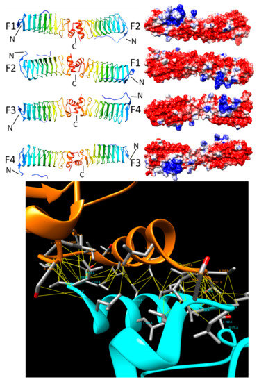 Biomolecules | Free Full-Text | Current Understanding of the Structure ...