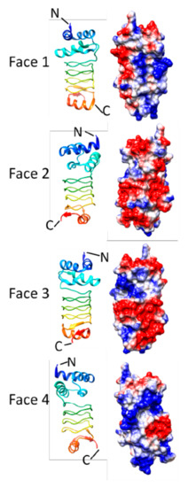 Biomolecules | Free Full-Text | Current Understanding of the Structure ...