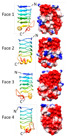 Biomolecules | Free Full-Text | Current Understanding of the Structure ...
