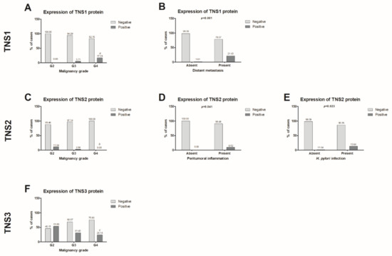 Immunohistochemical Analysis of the Expression of Adhesion Proteins ...