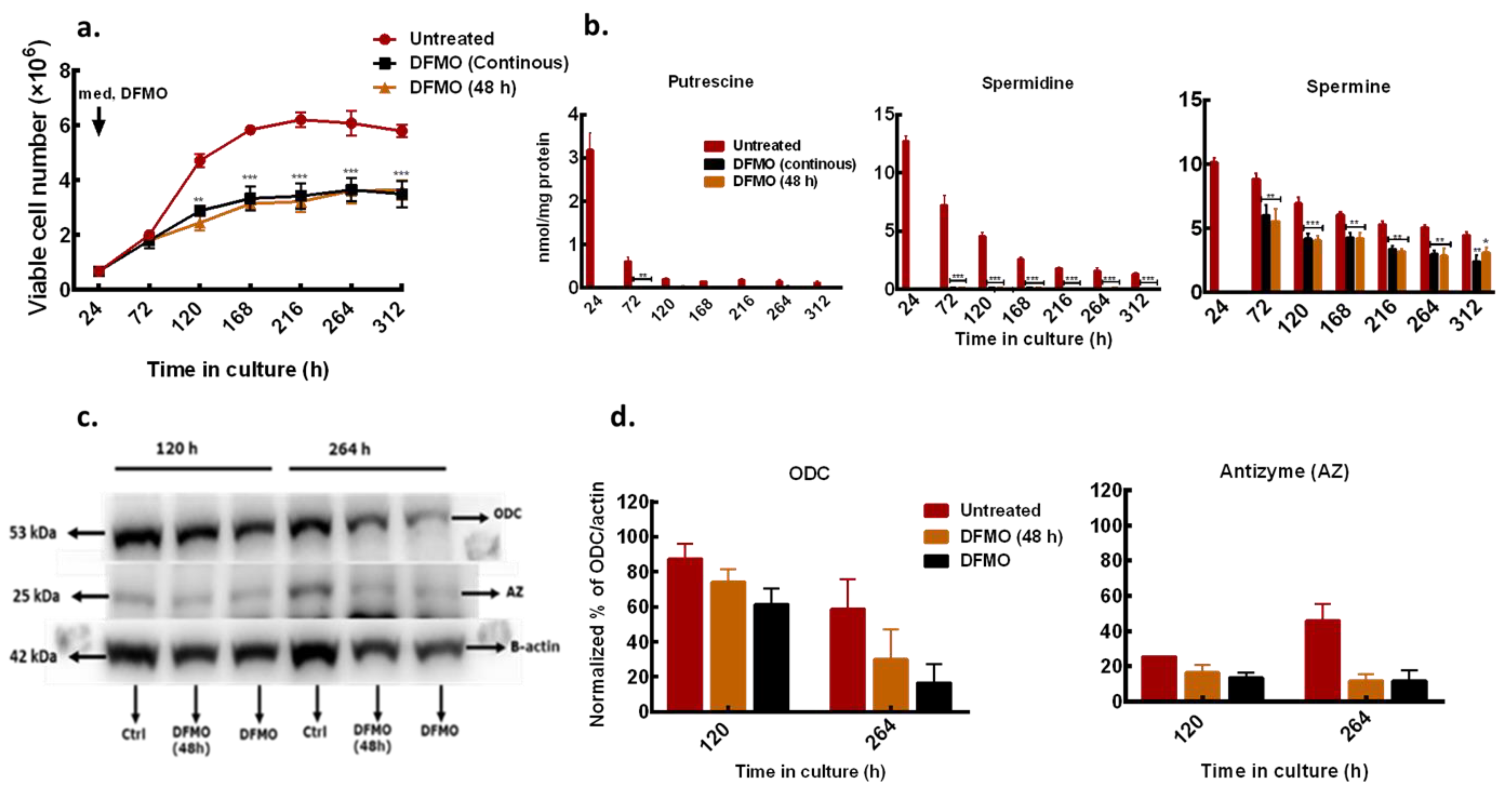 Characterising the Response of Human Breast Cancer Cells to Polyamine ...