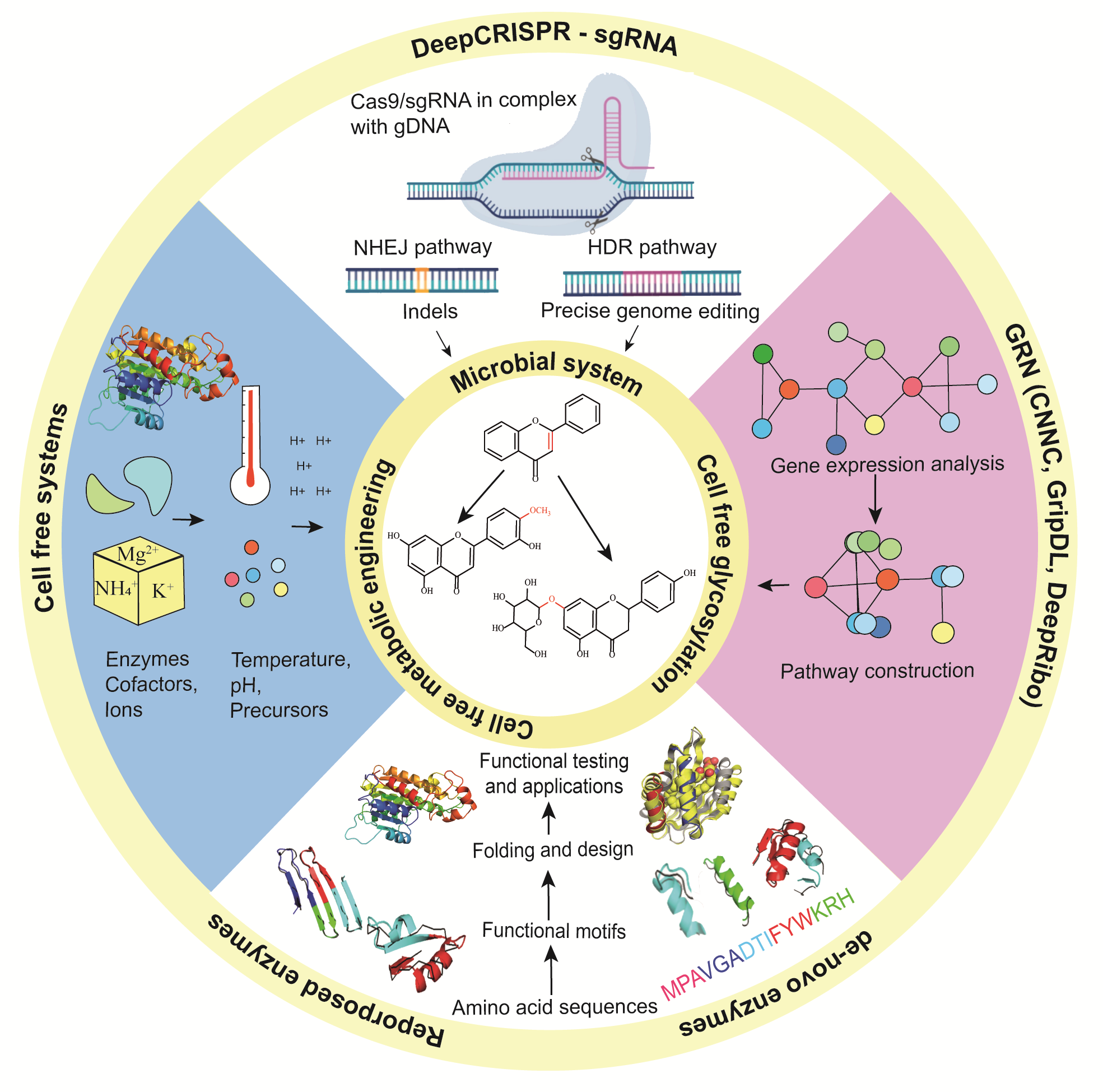 Biomolecules | Free Full-Text | Synthetic Biology towards Improved ...