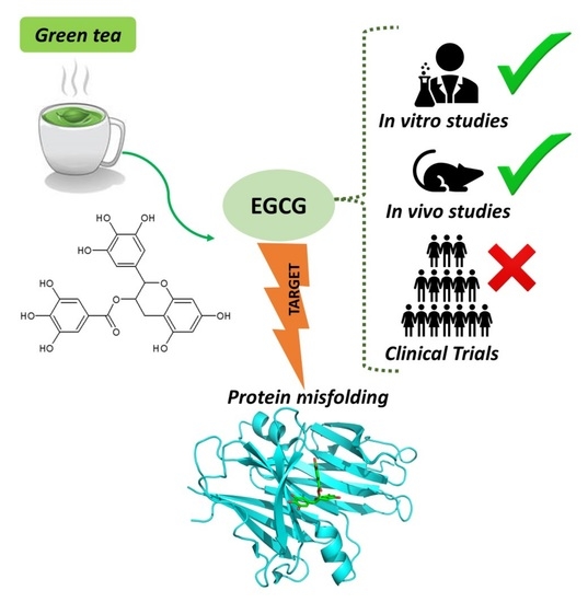 Biomolecules | Free Full-Text | Green Tea Epigallocatechin-3-gallate ...