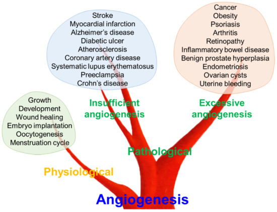 Anti-Angiogenic Property of Free Human Oligosaccharides